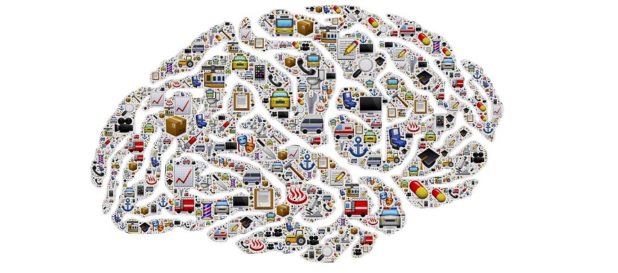 Šta je inteligencija? | Srednje škole